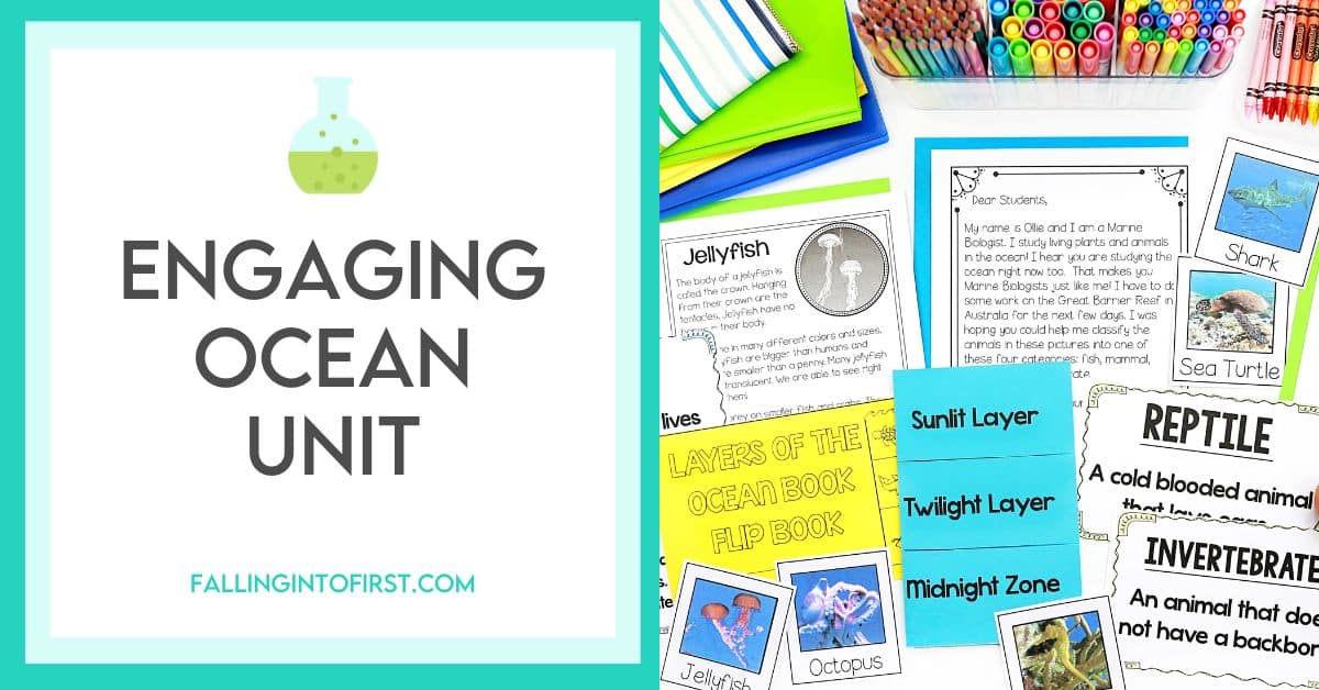 Engaging Ocean Unit for First Grade | Falling into First